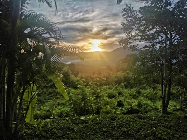 The Lookout Pai - タイ