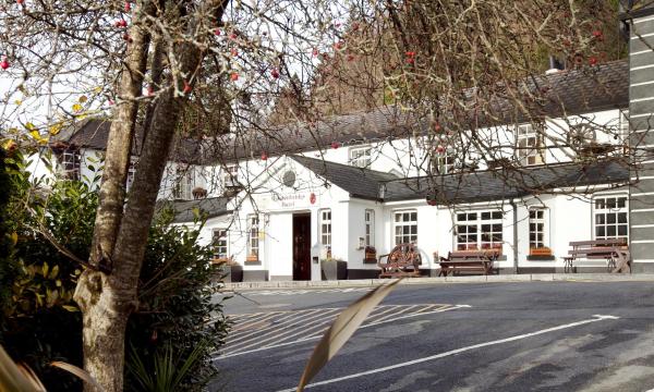 The Lodge At Woodenbridge - Leinster
