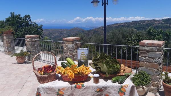 Agriturismo Gli Antichi Sapori - Con Stazione Di Ricarica Veicoli Elettrici - San Mauro Cilento