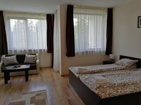 Borovets Gardens Studio D36 - 北馬其頓