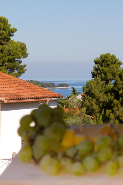 Studio Apartman Nega 2 - Rovinj