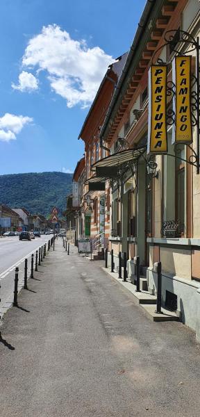 Pension Flamingo - Brașov