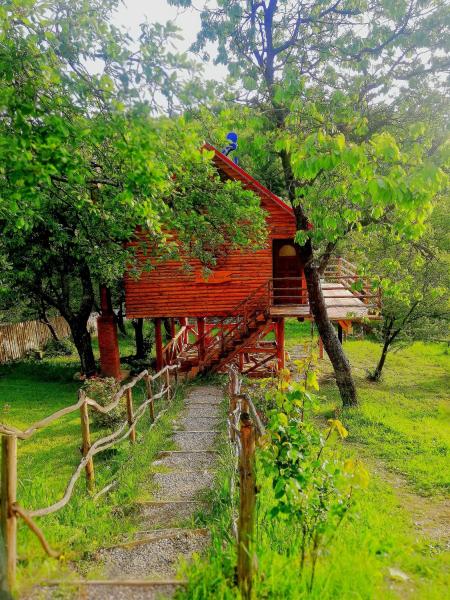 Casuta Din Poiana - Transilvania