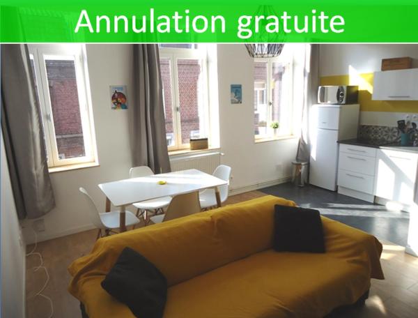 Appartement Lille/1ch/stationnement Gratuit - Croix