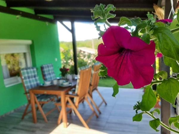 Ruralna Kuća Za Odmor Viktorija - Croatie