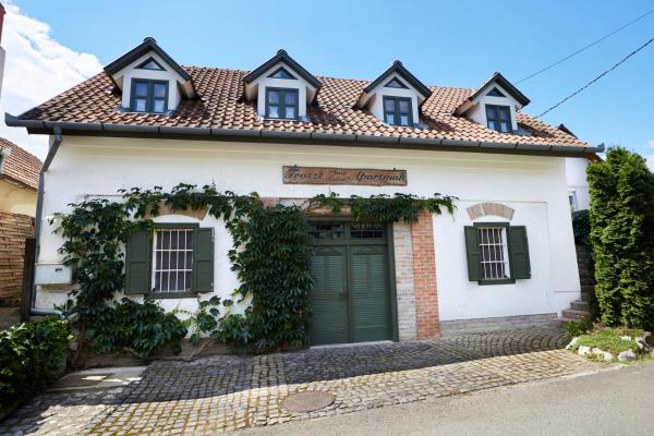 Troszt Pince Apartman - Hungary