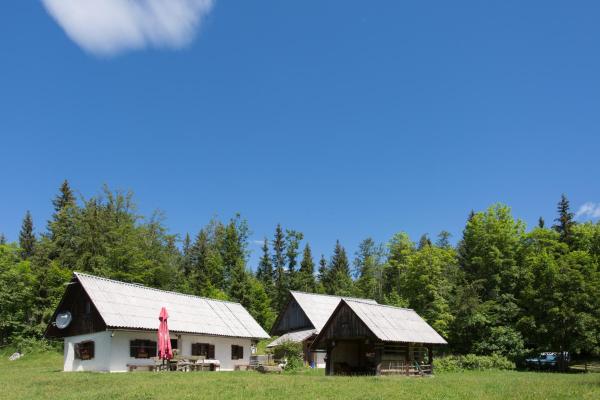 Mountain House Minka - Bohinj