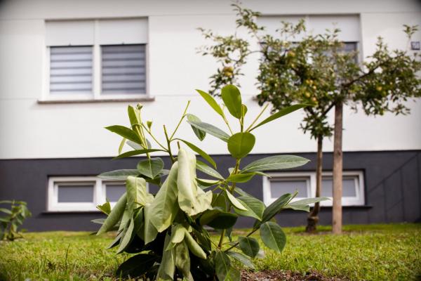 Apartman Kuća 150 - Kroatien