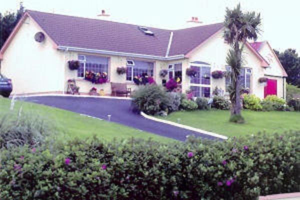 The Yellow Rose B&b - Mayo
