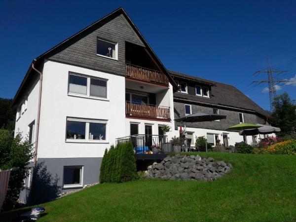 Modern Apartment In Sellinghausen With Terrace - Schanze