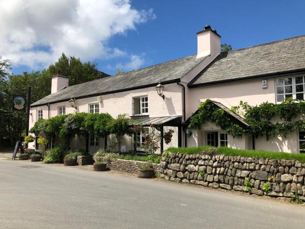 Castle Inn - Okehampton
