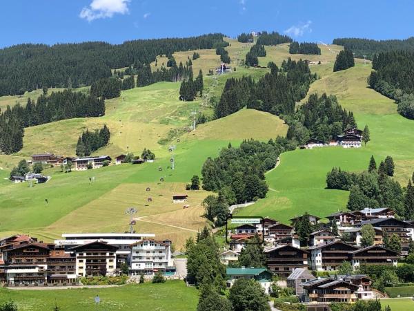 Panorama - Saalbach