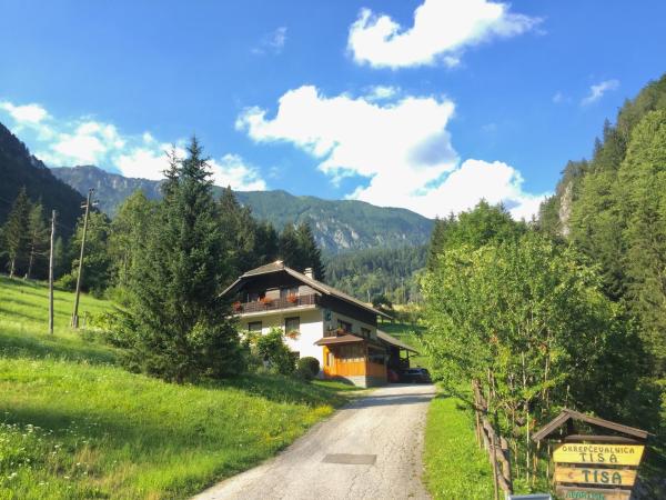 Apartment Tisa - Logarska Dolina