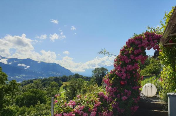 Ferienwohnung Düns4 - Vorarlberg