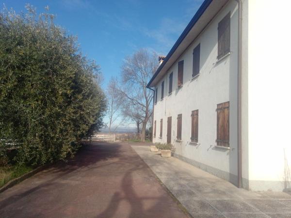 Casa Via Degli Ulivi 13 - Este