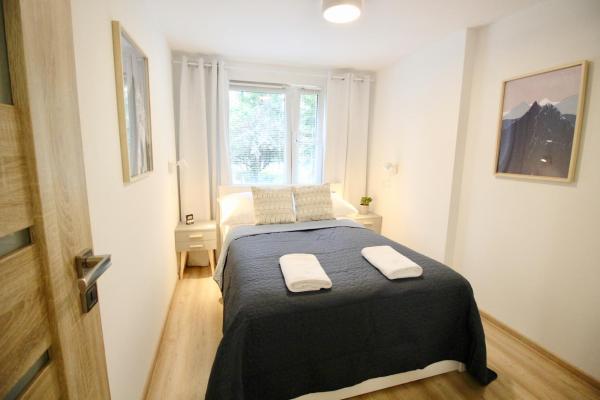 Central Apartment In Park With Mountain View. - Zakopane