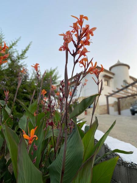 Villa Sunshine Countryside Resort - Torrox Costa
