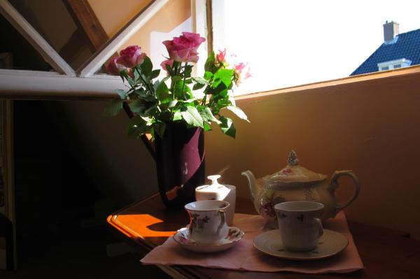 Wild Roses - Zaandam