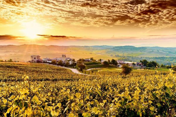 Zornitza Family Estate Relais & Chateaux - Bulgaria