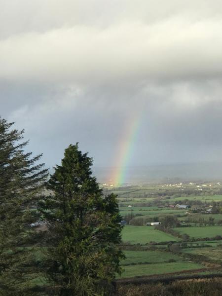 The Collins,our View From The Top - Listowel