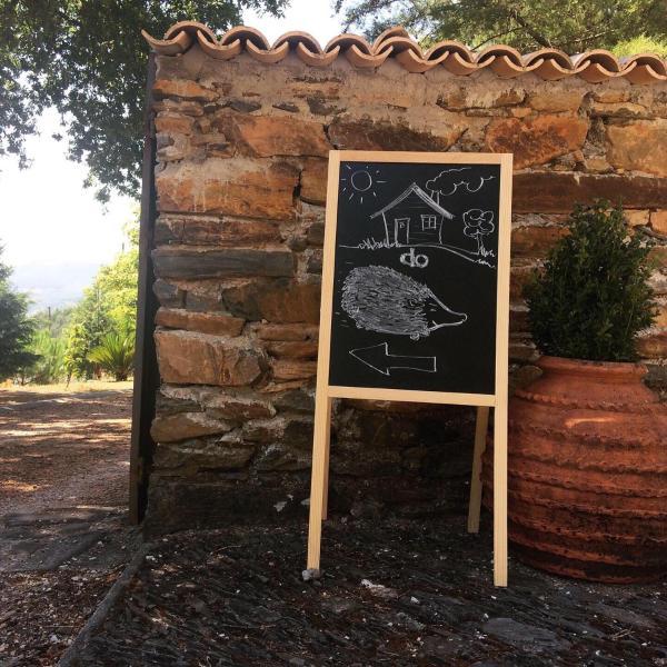 Casa Do Ouriço - Figueiró dos Vinhos