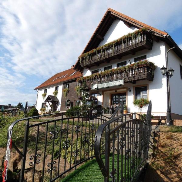 Hotel-pension Flechsig - Auerbach
