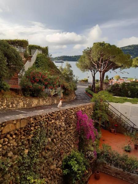 Olivo House 2 - Porto Venere