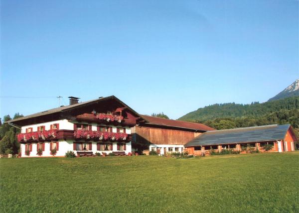 Bauernhof Grafenhof - Kiefersfelden