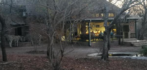 Coga Cottage - Marloth Park - Marloth Park