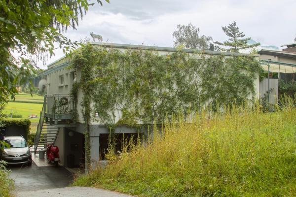 Am Seerosenweiher - Innsbruck