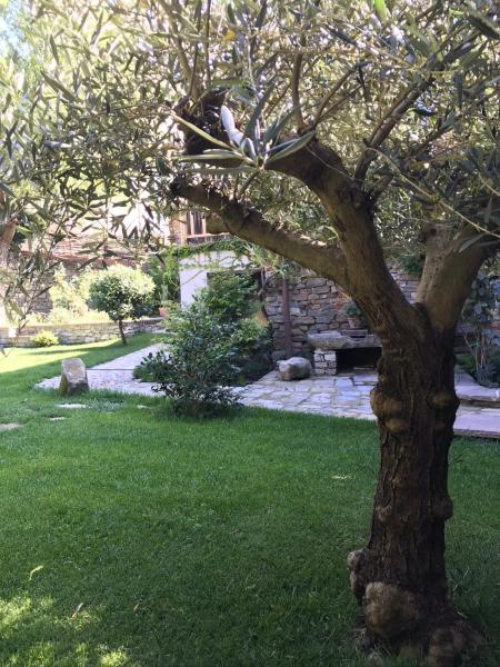 Number 10 Locanda B&b - Piedmont