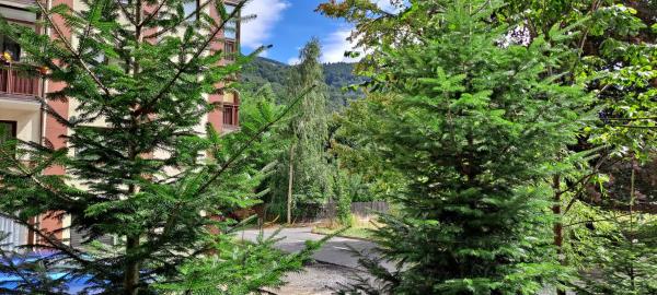 Sinaia Relax Residence - Sinaia