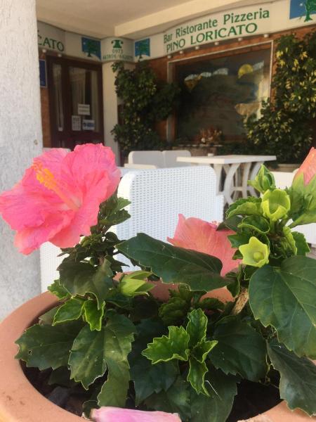 Hotel Pino Loricato - Basilicata