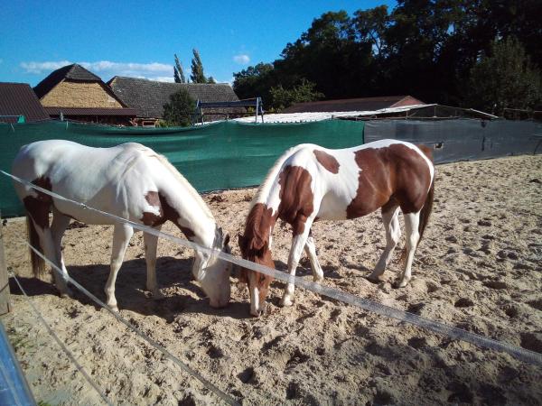 Ubytovanie Na Dedine - Nové Mesto nad Váhom