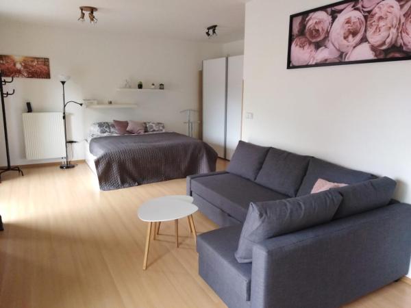 Apartment Archa Poděbrady - Kolín