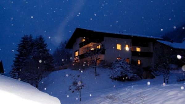 Gästehaus Steinerhof - Autriche