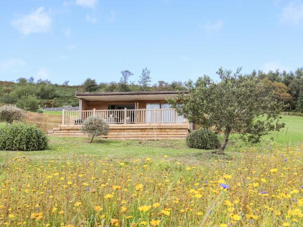 Meadow Lodge - Bala