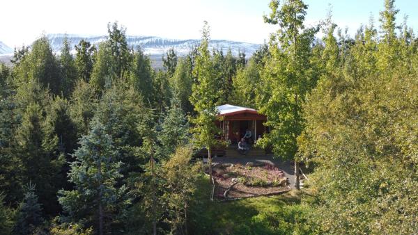 Bakkakot 1 - Cozy Cabins In The Woods - Islande
