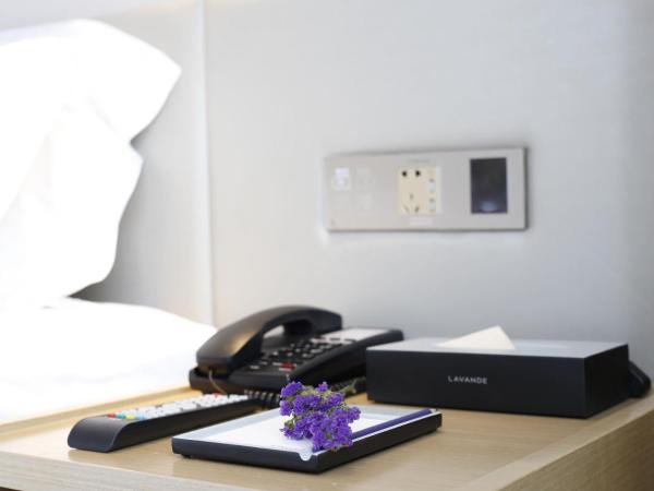 Lavande Hotel (Linfen Binhe East Road Yujing Shuicheng Branch) - Linfen
