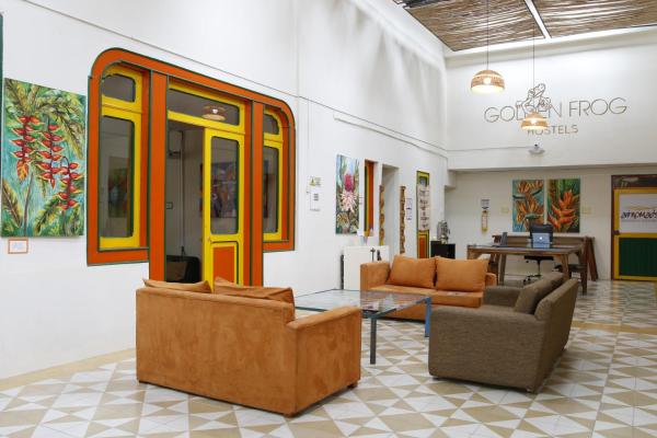 Golden Frog Manizales - Manizales