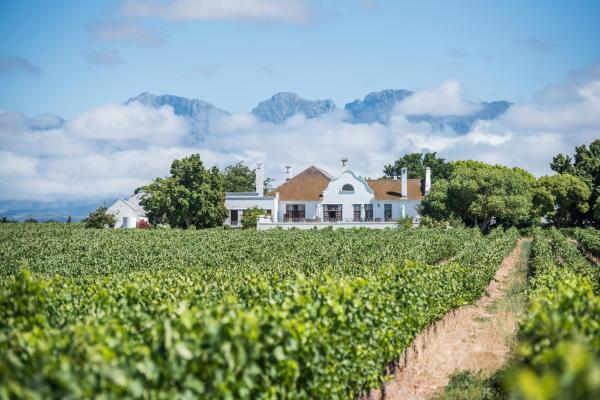Excelsior Manor Guesthouse - Montagu