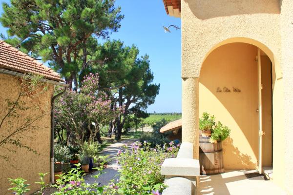 Le Clos Vitis - Orange