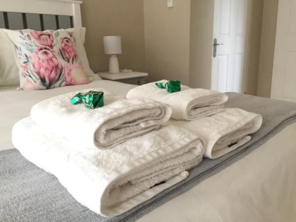 The Vine - Vredendal