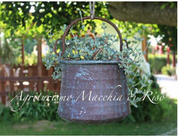 Agriturismo Macchia Di Riso - Nova Siri