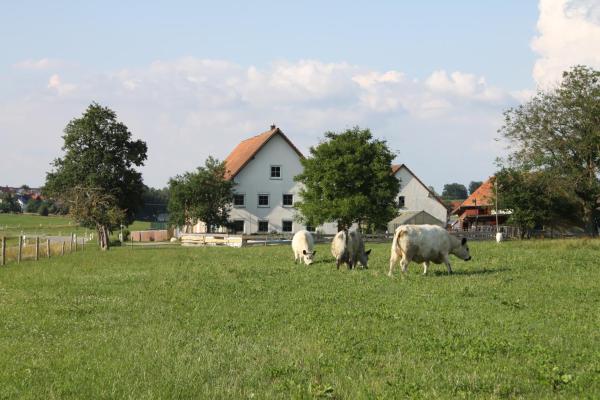 Traubshof - Deutschland