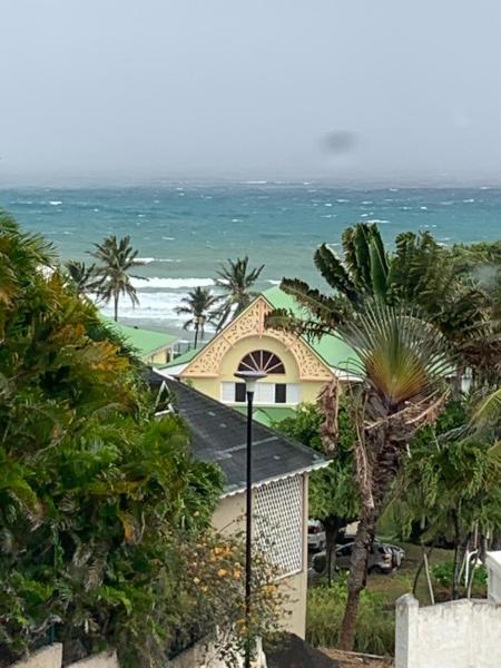 Flamboyant St Francois - Saint-François