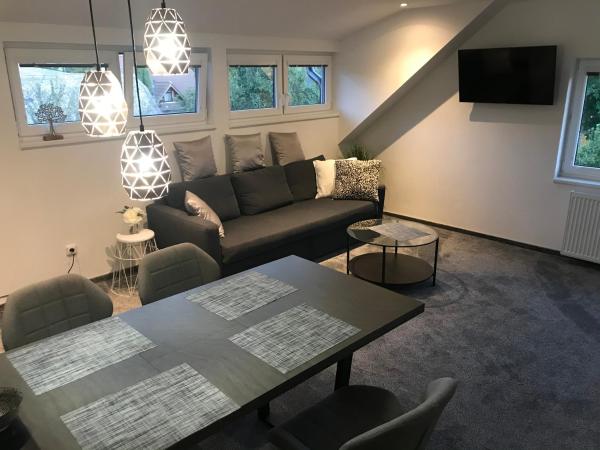 Apartmány U Lípy - Tsjechië