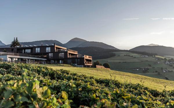 Aparthotel Panorama Living Dolomites - Meransen
