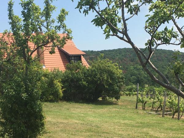 Holiday Home In Dörgicse Vineyard - Plattensee