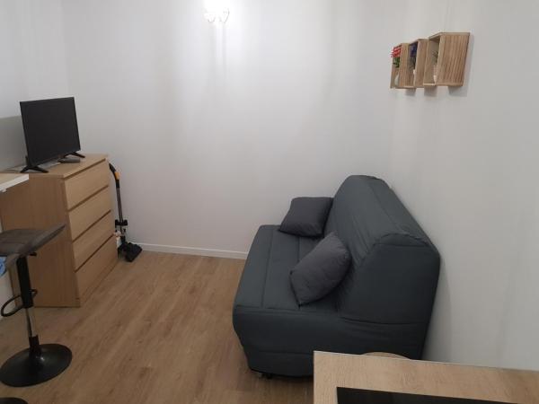 La Fauconnerie Studio De Charme Au Cœur D'orléans - Saran